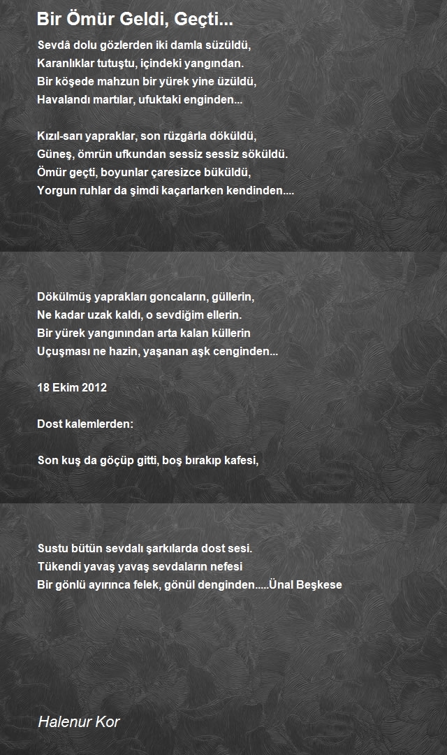 Bir Ömür Geldi, Geçti... Şiiri - Halenur Kor Bir Ömür Geldi, Geçti... Şiiri - Halenur Kor
